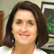 Three Women Appointed to Lead Academic Centers : Women In Academia Report